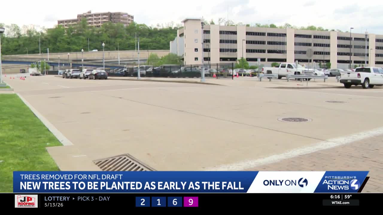 Trees removed for NFL draft in Pittsburgh will be replaced in the fall