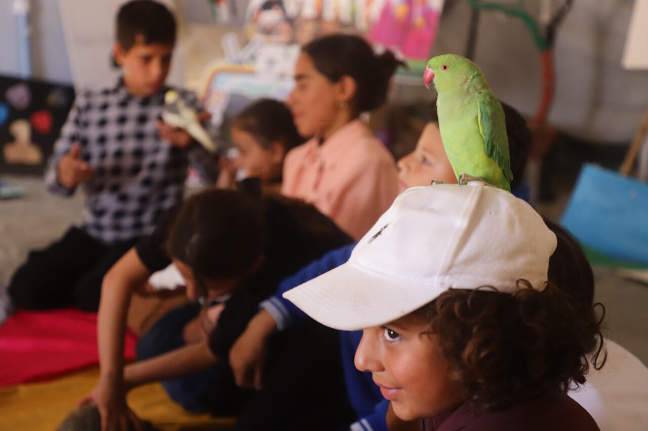 Animal therapy for Gaza’s displaced children