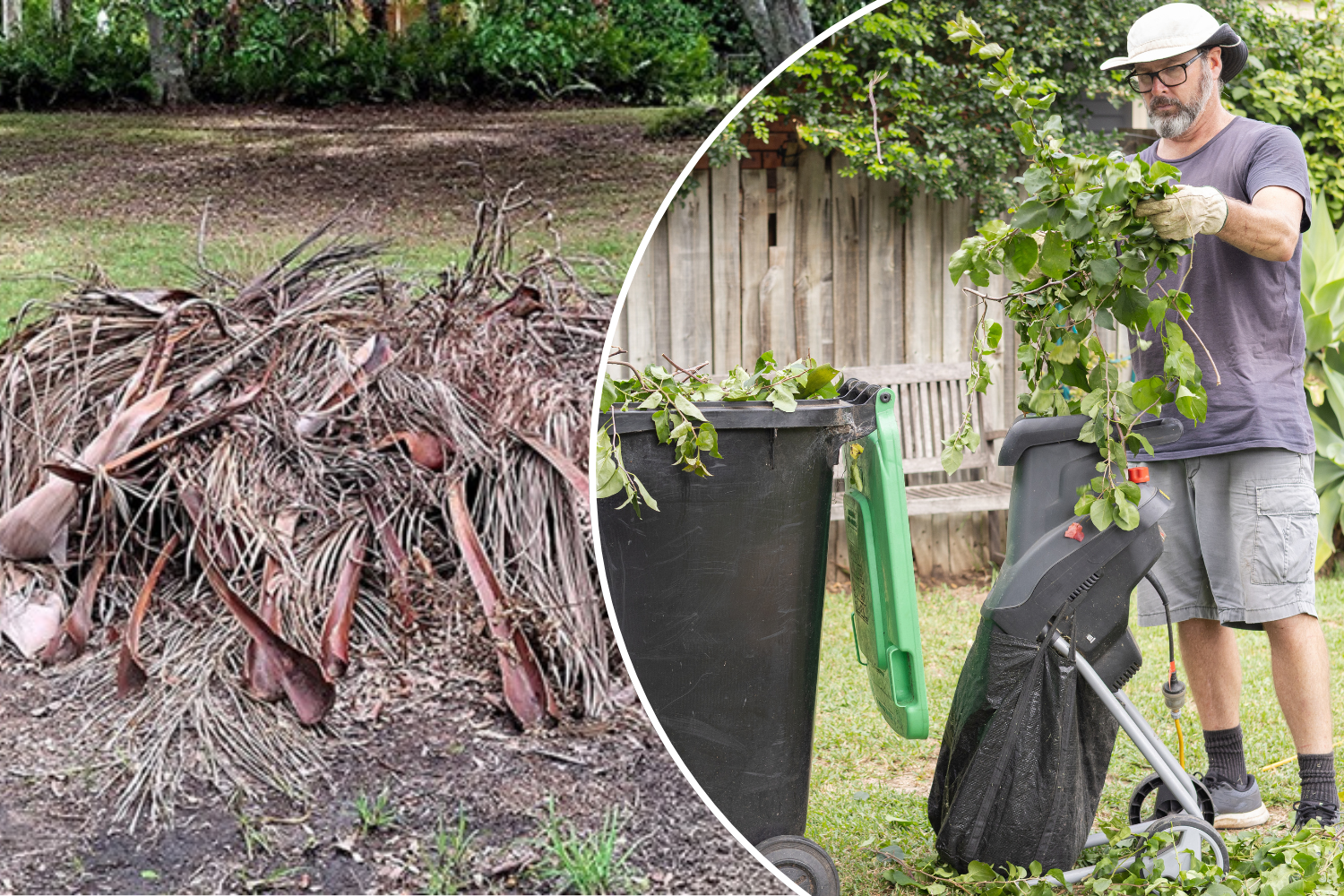 Council warns residents of $333 fines for dodgy garden act