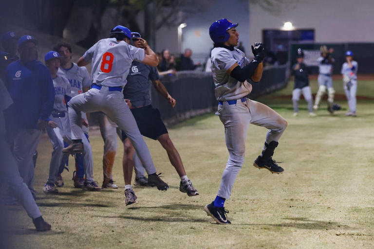 Division I WR helps Bishop Gorman baseball return to state tournament