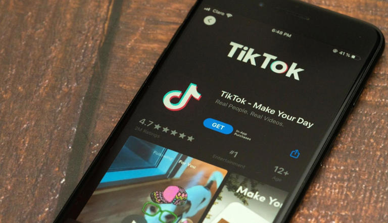 Así es la nueva suscripción para usar TikTok sin anuncios