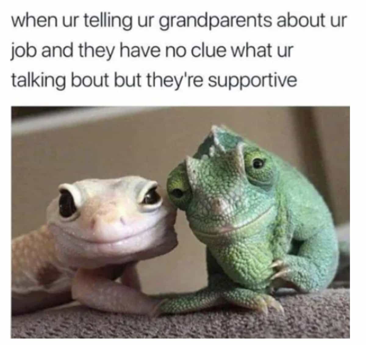 Funny memes about supportive grandparents