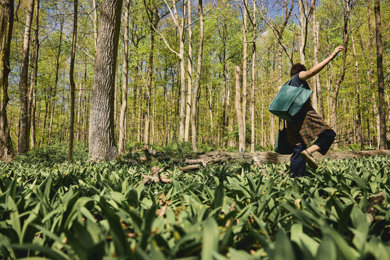 On the hunt for ramps, spring’s most coveted ingredient