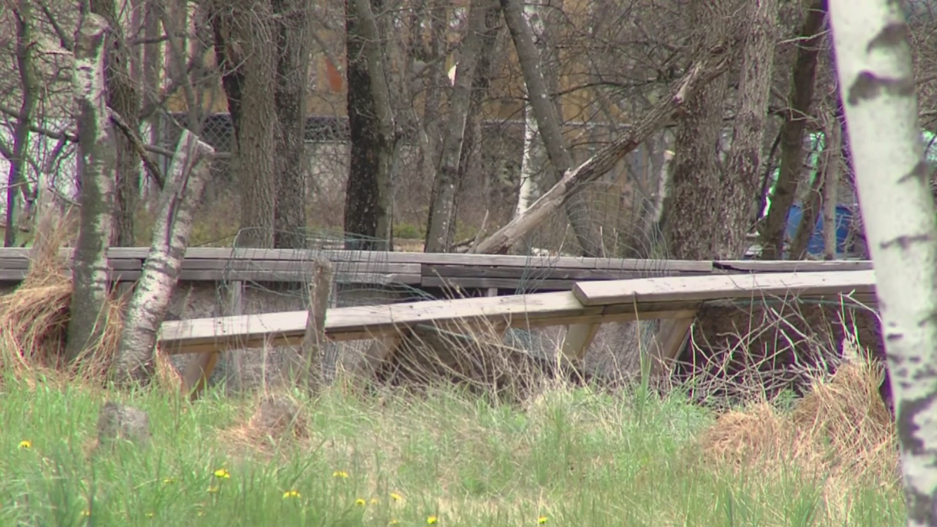 9 dead animals discovered outside home, charges filed | 28/22 News