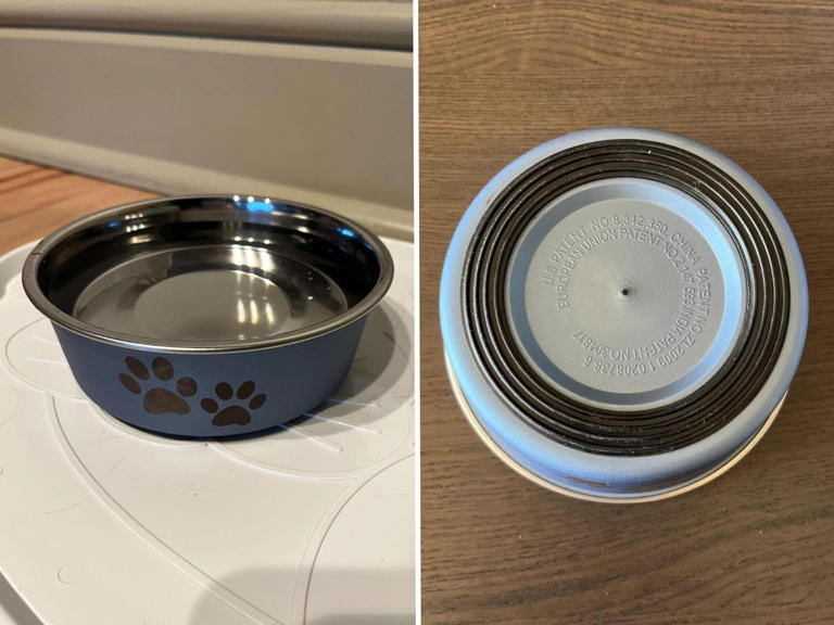 The best cat water bowls