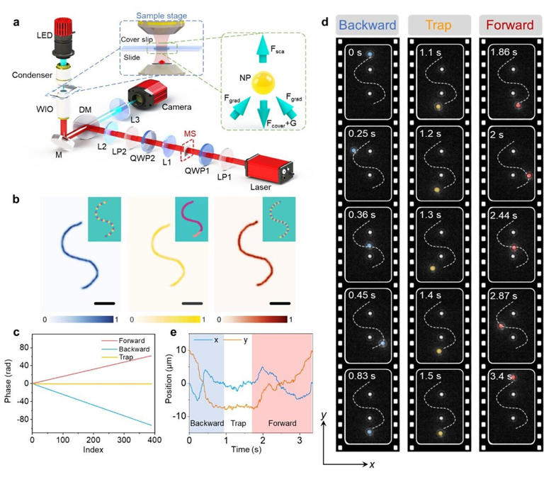 Optical meta‑conveyors enable programmable nanomanipulation along ...