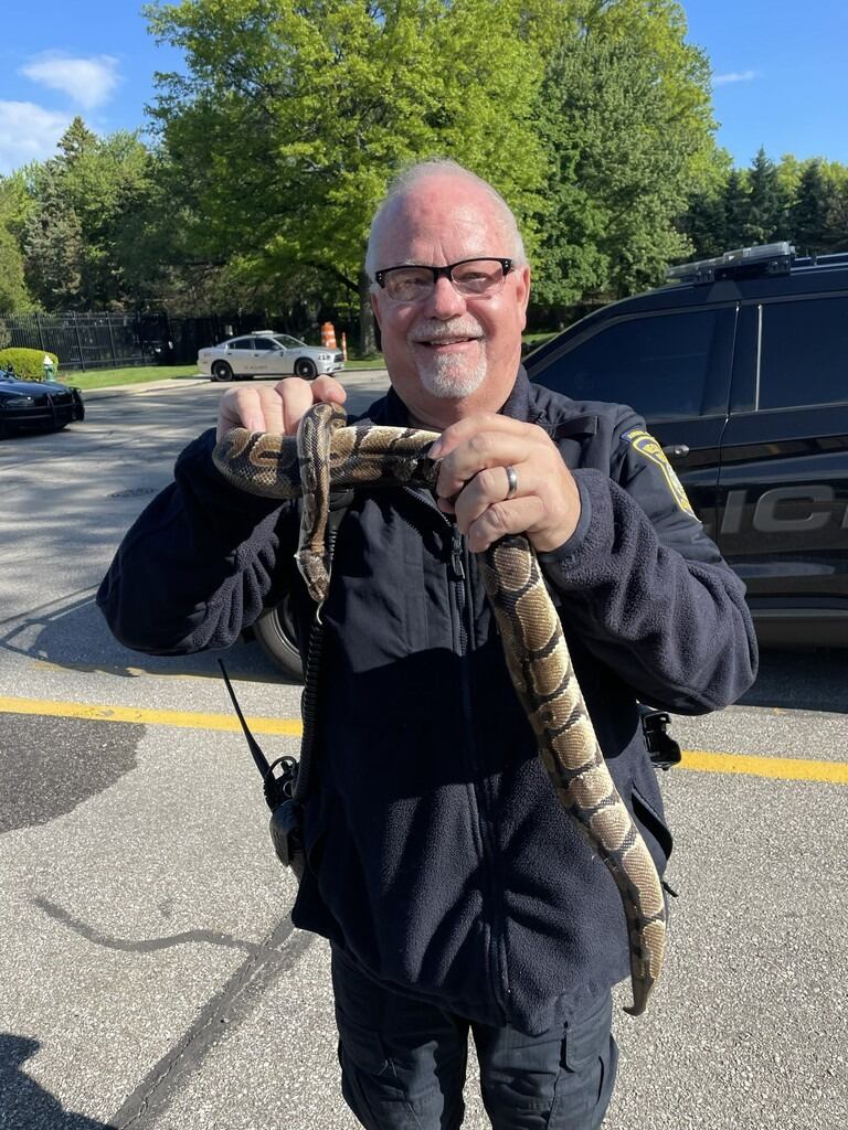 Ball python apprehended by Westlake police for 'unwanted slithering'