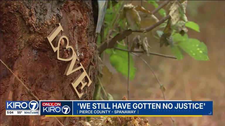 Spanaway road rage shooting suspect still not charged with crime ...
