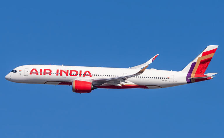 Pune woman shares experience of 'halwa puri channa' meal on Air India ...