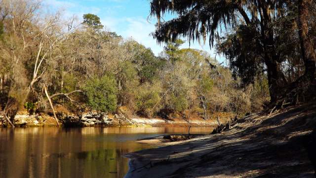 Storms force murky river water backward into Florida's crystal-clear ...