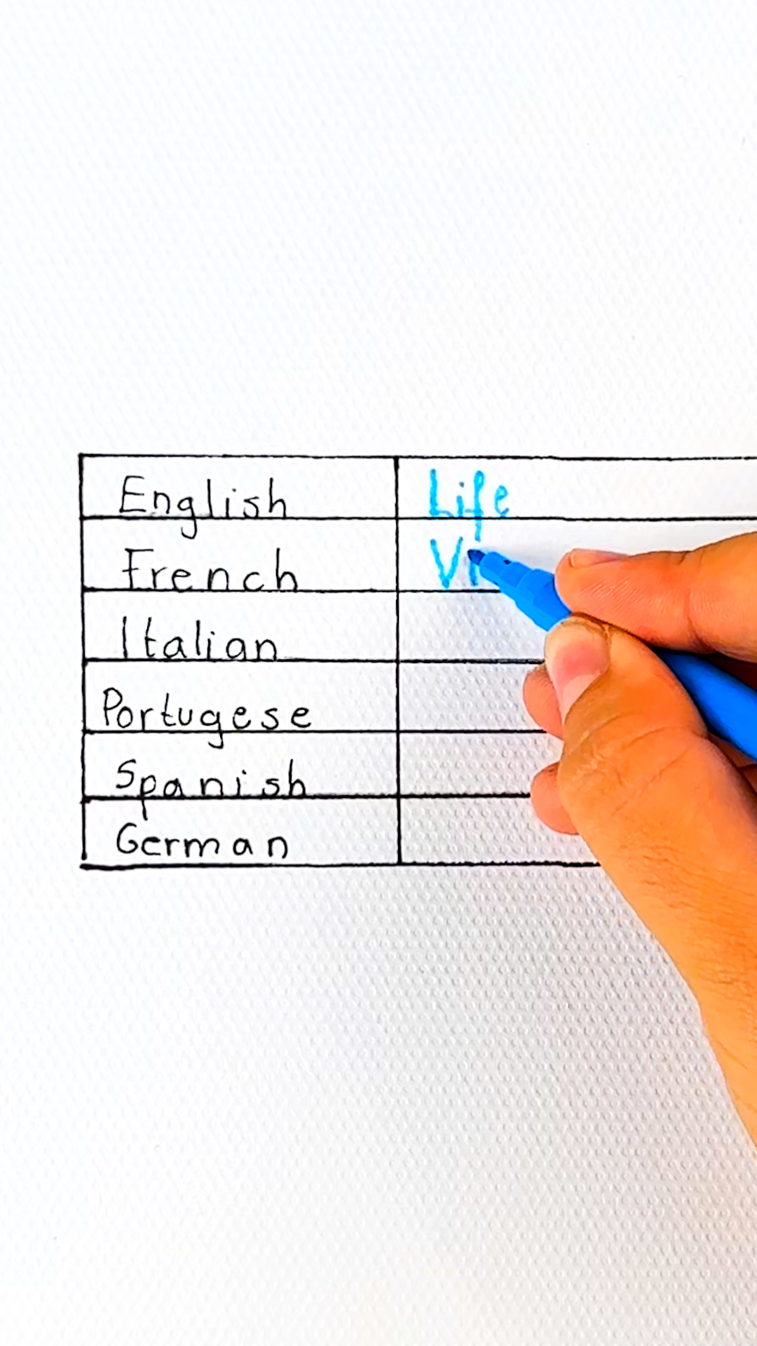 Life is short, except in German