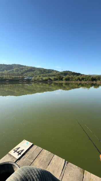 Relaxing Fishing Style Moments Going Viral On For You Page
