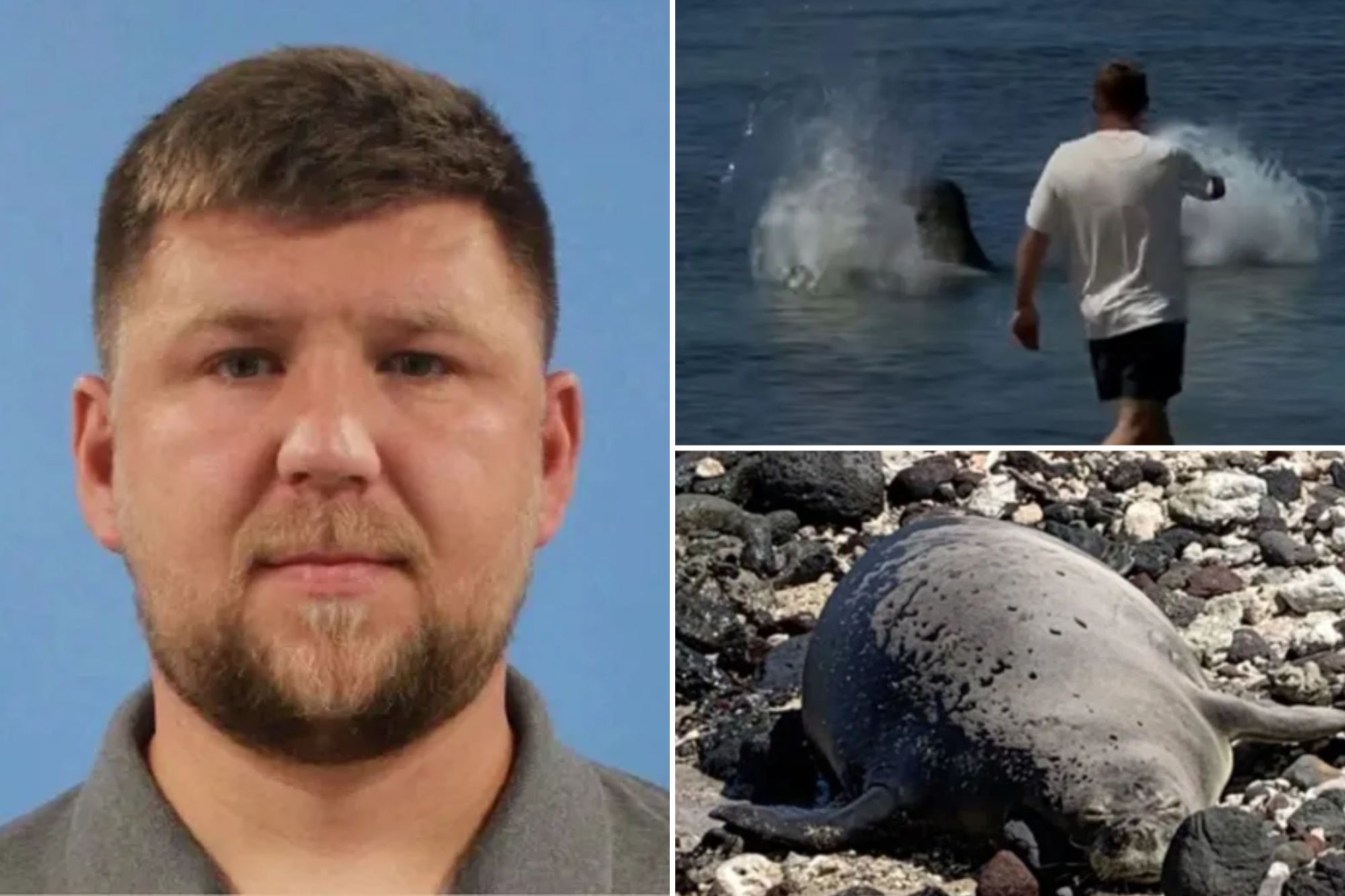 Arrogant tourist arrested week after viral video caught him hurling ...