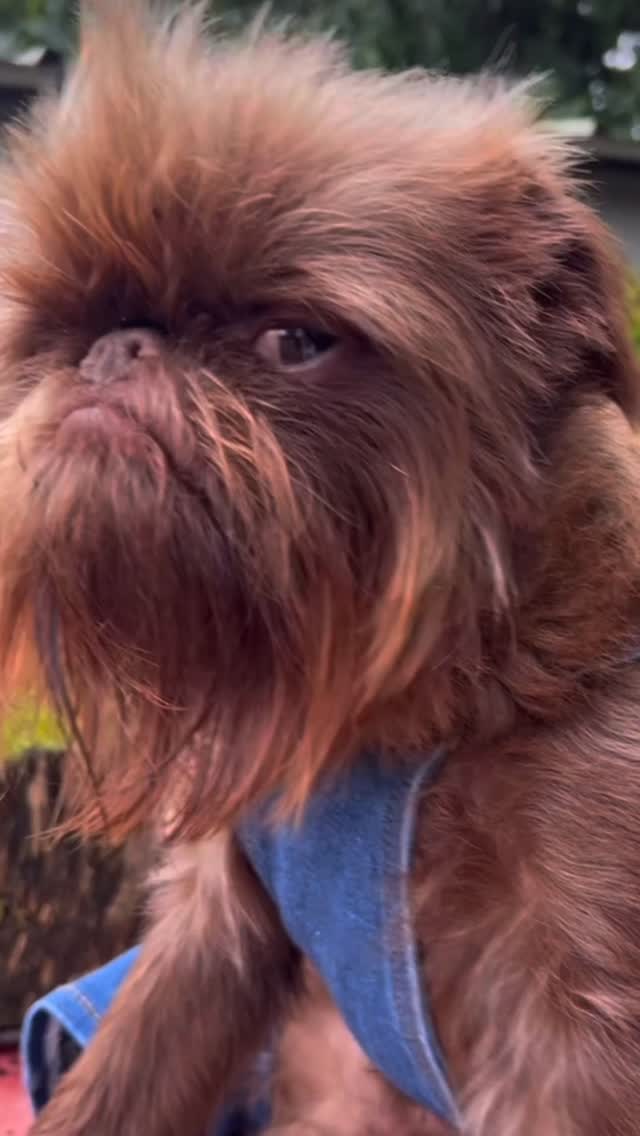 George’s surprise outing and hangry moments need snacks ASAP