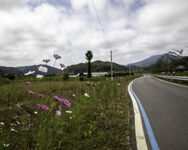Cycling the Bukhangang bike path: A scenic ride through Korea’s railway ...