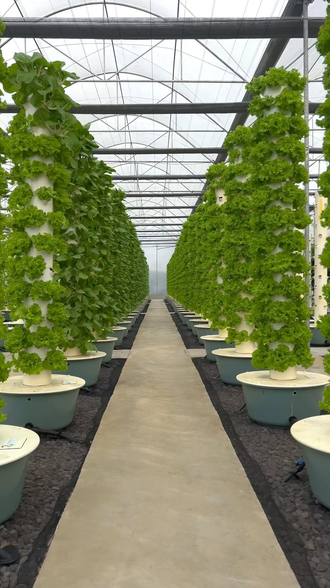 Vertical tower farm greenhouse tour