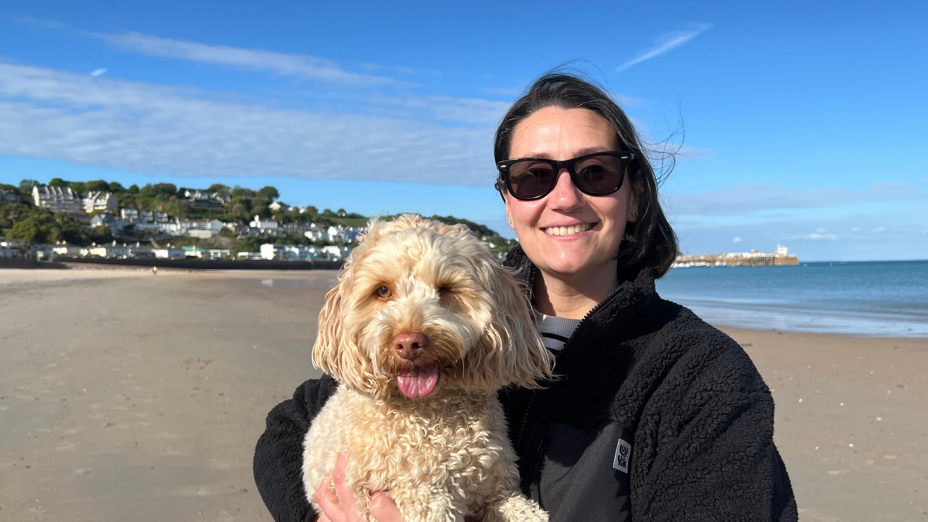 Dog owners divided over off-lead beach rules