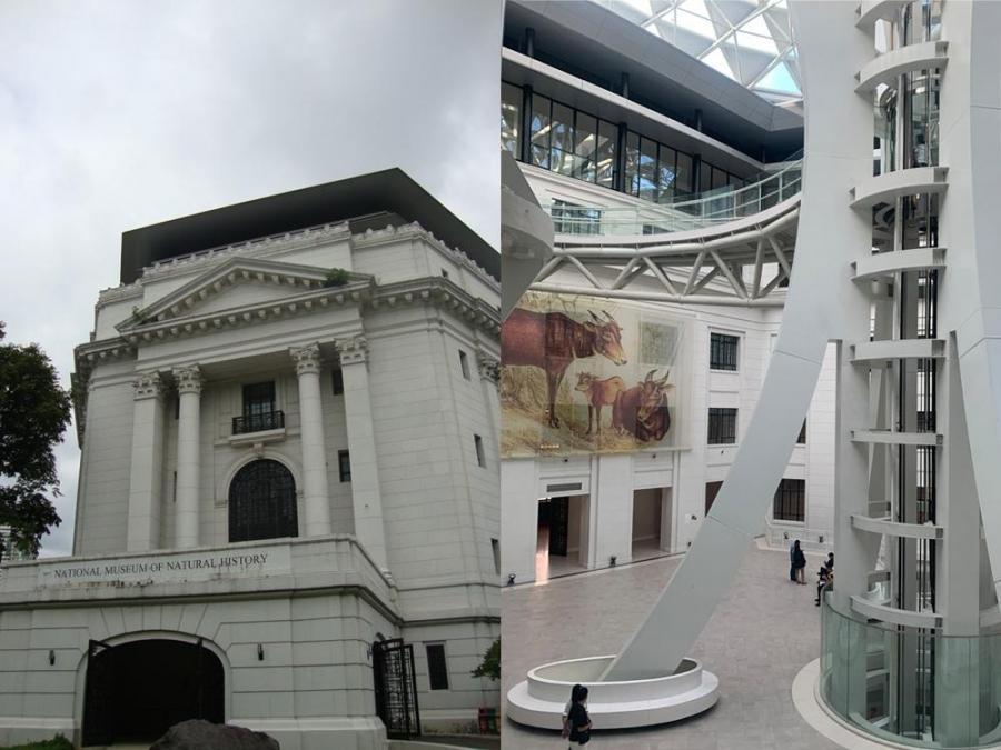 National Museum of the Philippines observes International Museum Day ...