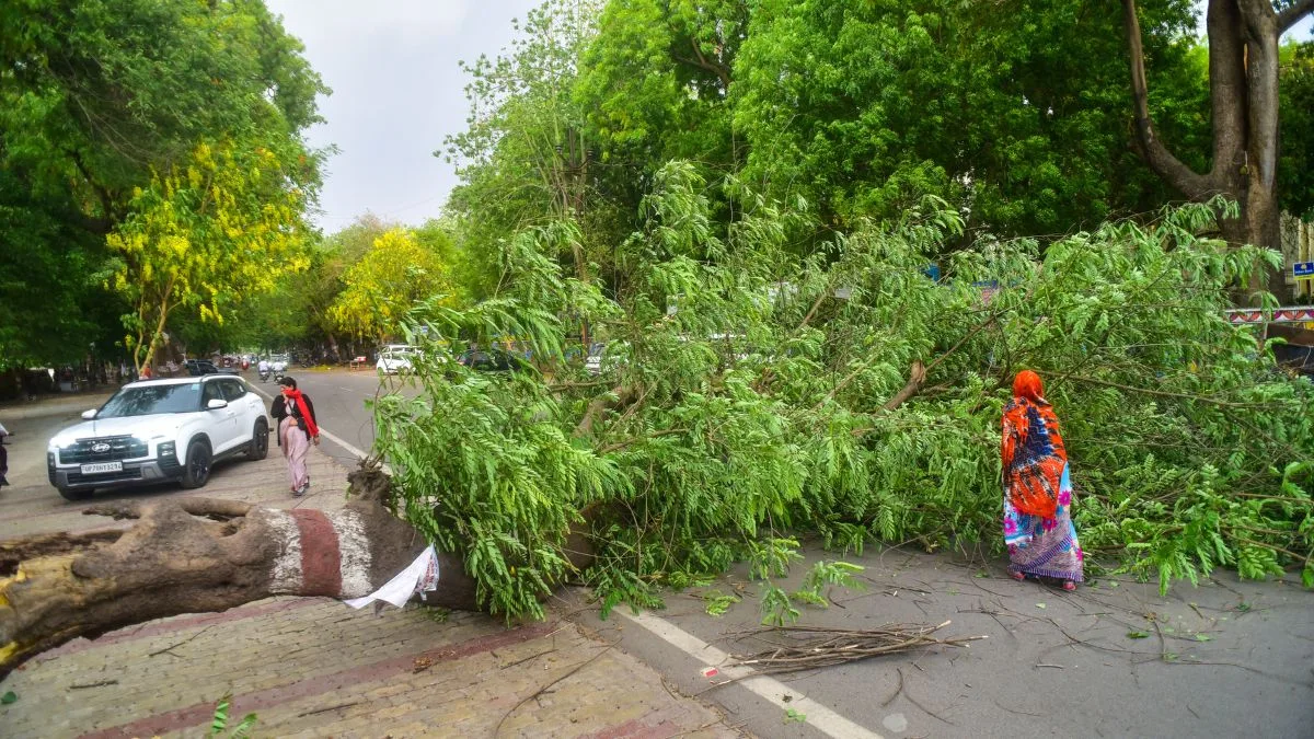 Storms and lightning leave 89 dead across UP; Prayagraj worst-hit, Yogi ...