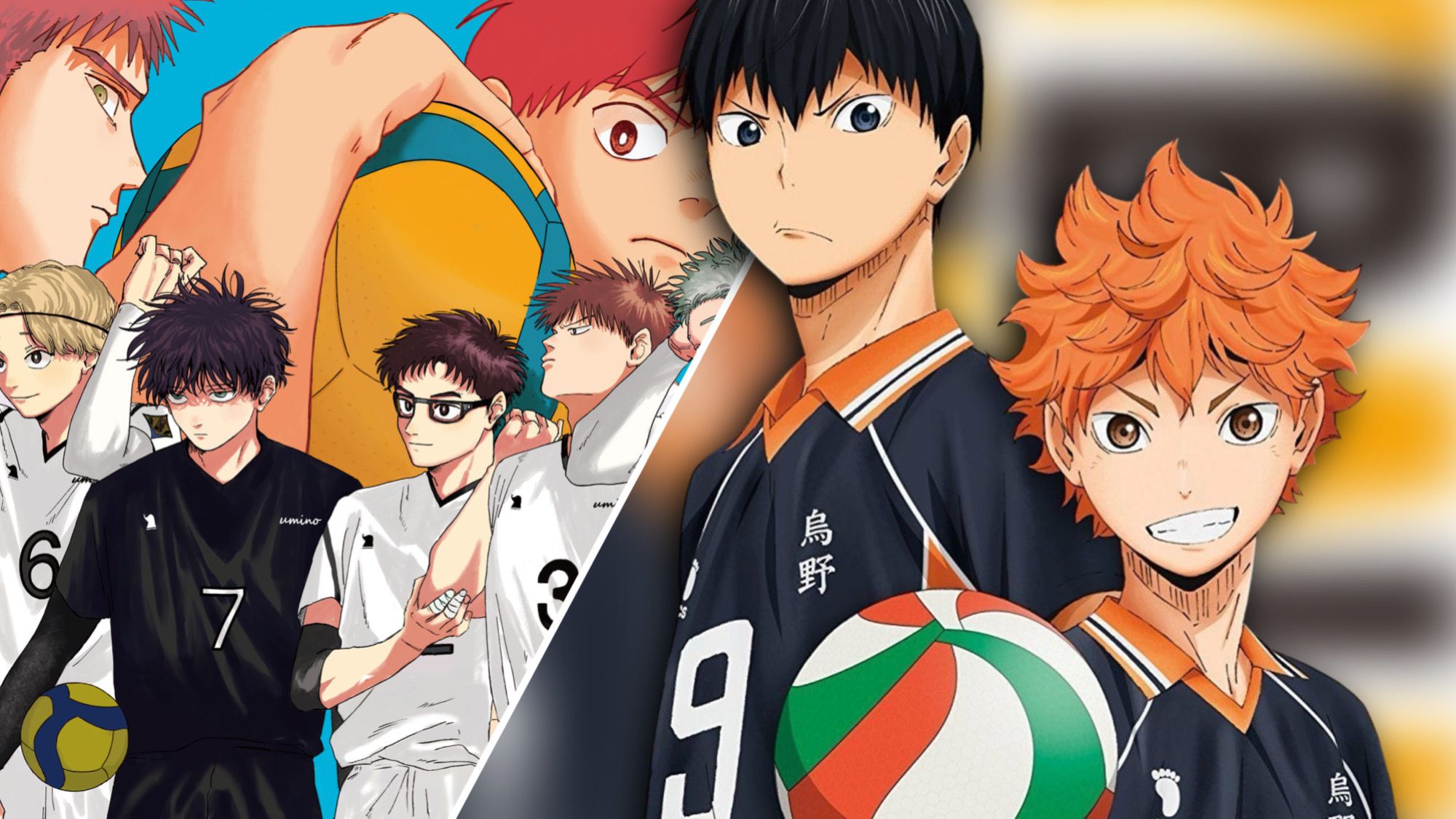 After 6 years, Japan has found its official Haikyuu replacement