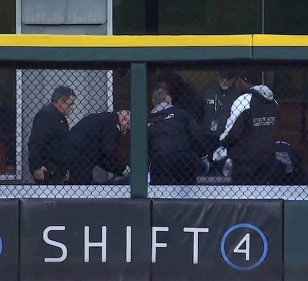 Baseball fan rushed to the hospital after terrifying fall from the stands