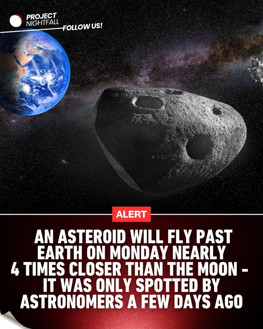 Cosmic bullet skims Earth: Only 8 days warning for asteroid closer than ...