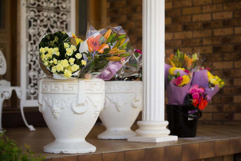 Small garden flowers that thrive in tight spaces and instantly add ...