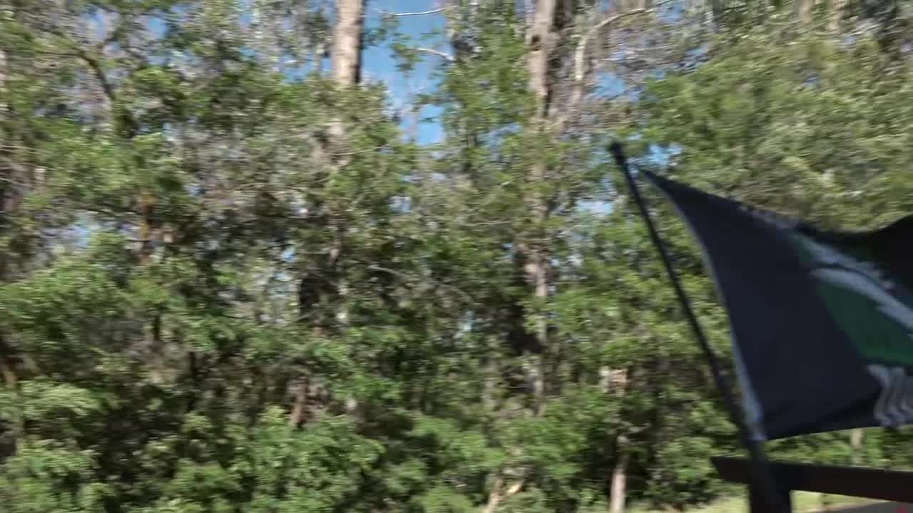 Boise Greenbelt sees downed trees due to wind gusts