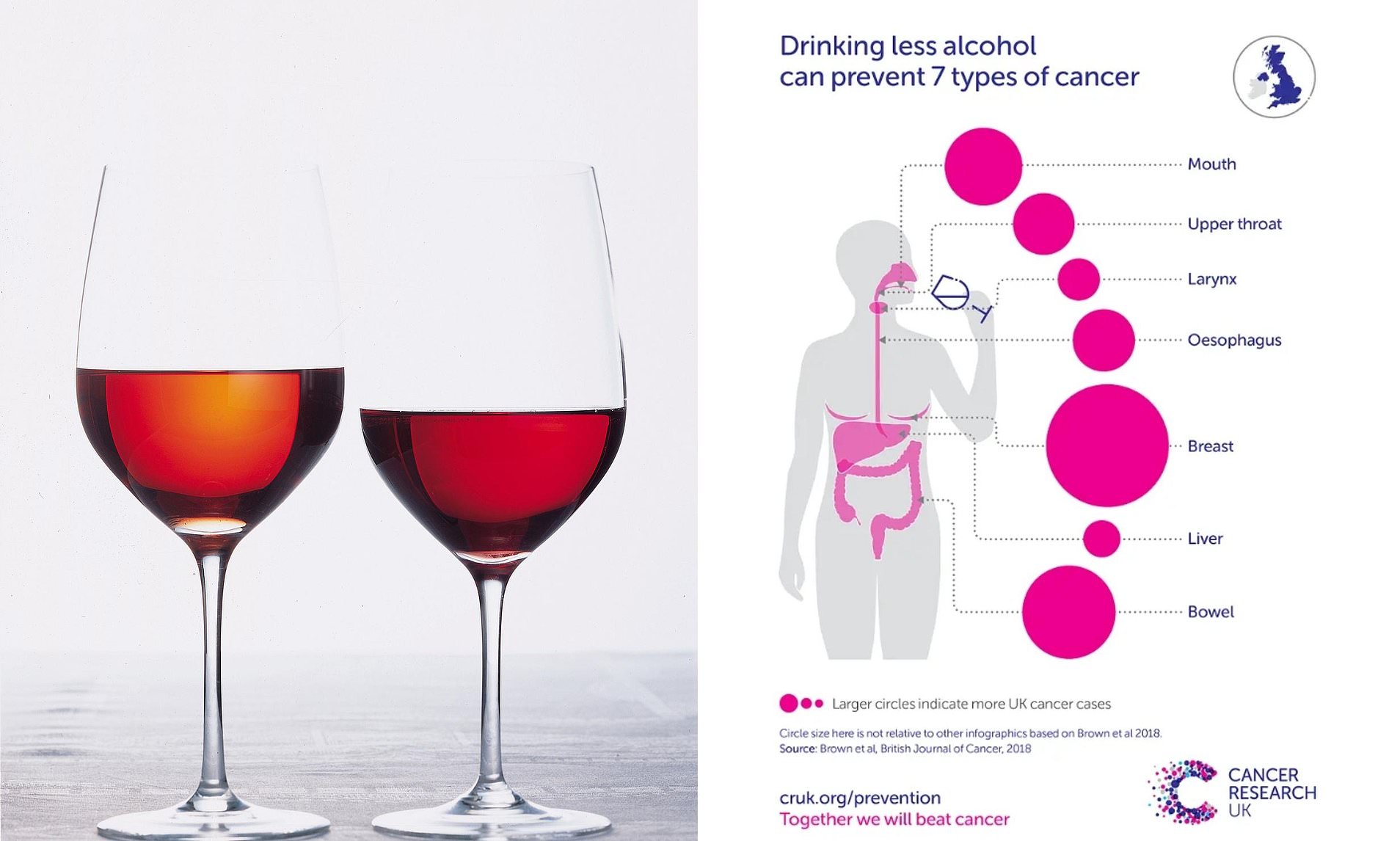 New review confirms alcohol causes dozens of health issues - but some ...