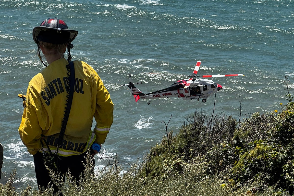Driver dies after car plunges from Highway 1 onto California beach
