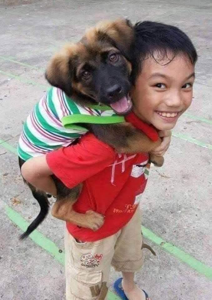 Lo ha trovato piccolo e solo, poi sono cresciuti insieme: il cane che ...