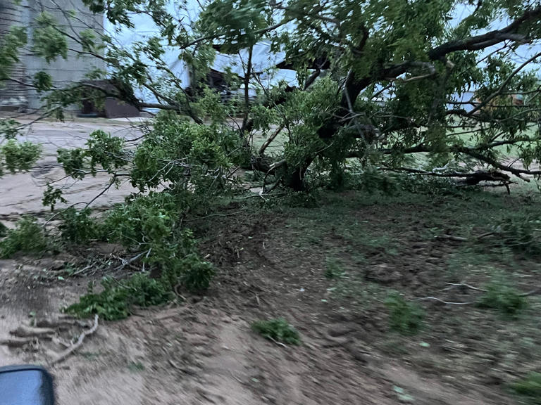 Tree damage, barn destruction among Kansas storm aftermath