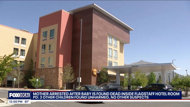 Twisted Arizona mom’s disturbing message after allegedly killing infant ...