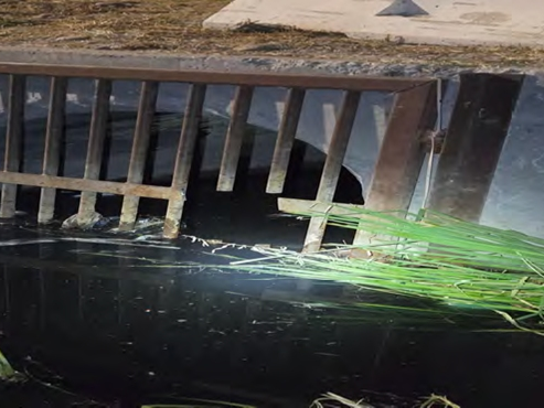 19 migrants arrested in San Diego border drainage system