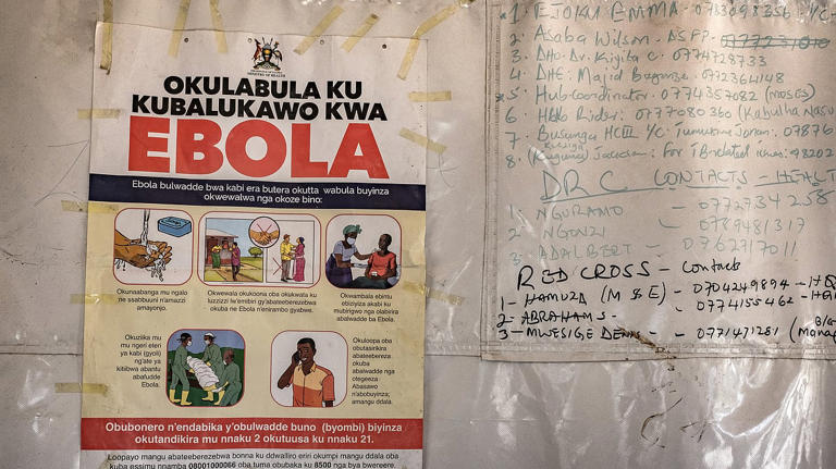 Health centres in Karnataka to keep eye on Ebola, report cases ASAP