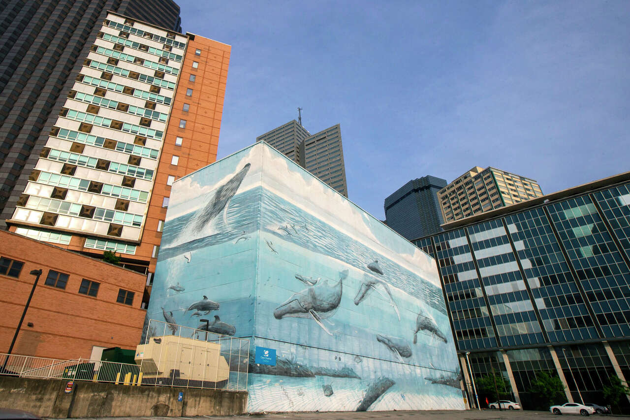 Wyland, Kacey Musgraves, local community react to whale mural's destruction