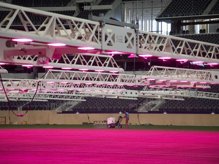 AT&T Stadium glows pretty in pink as World Cup field takes root