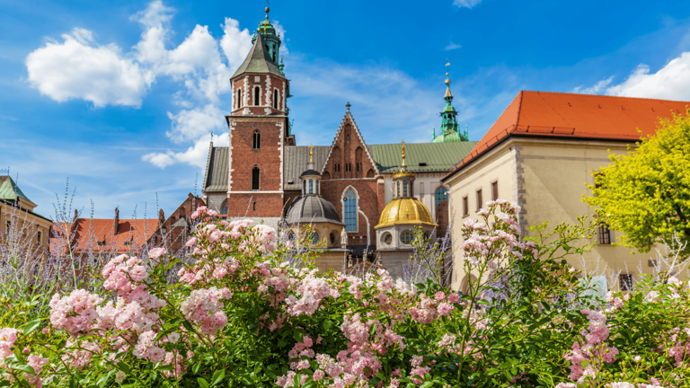 Wiadomo, jakie będzie tegoroczne lato. Prognozy synoptyków mówią jasno
