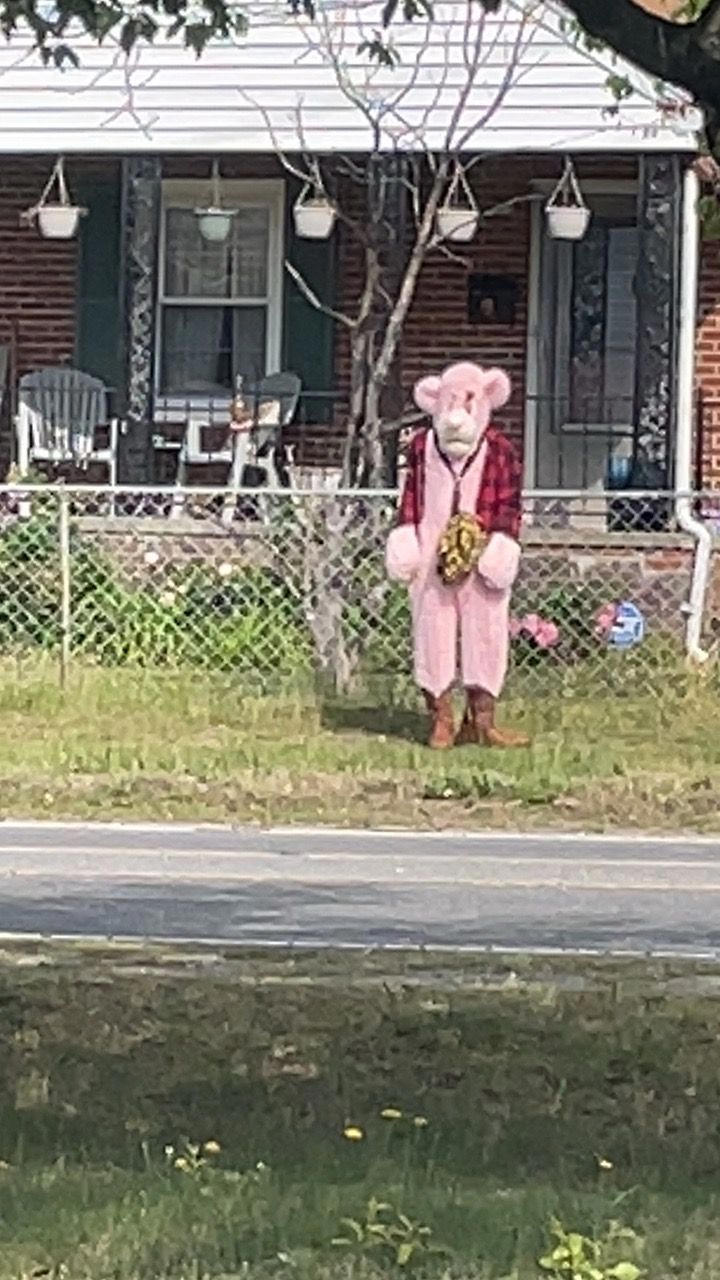 Sicko in Pink Panther-like costume allegedly hunts down local school ...
