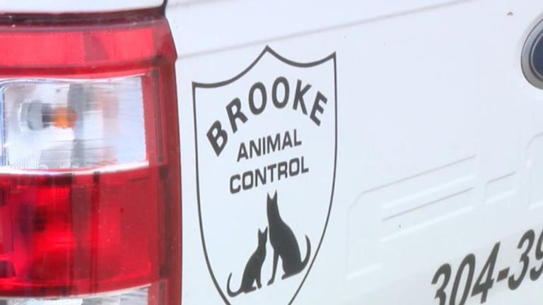 Rabies uptick near Brooke-Ohio line prompts warning: vaccinate pets ...
