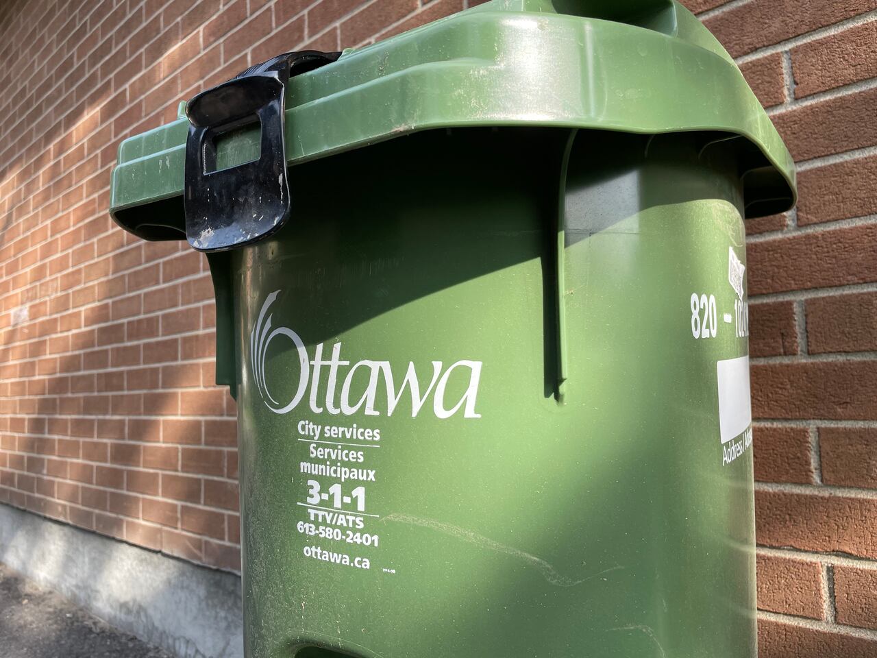 City exploring future options for processing green bin waste