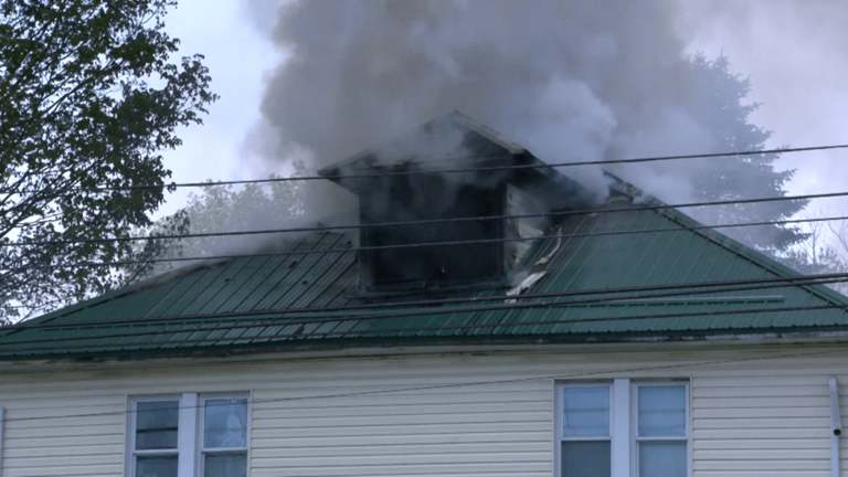 Firefighters confirm three cats died in Edinboro fire, investigation ...