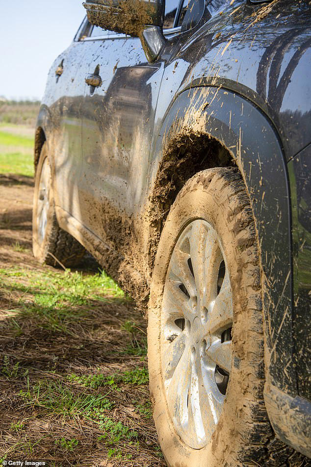 What you can legally do to stop cars ruining the council-owned verge by ...