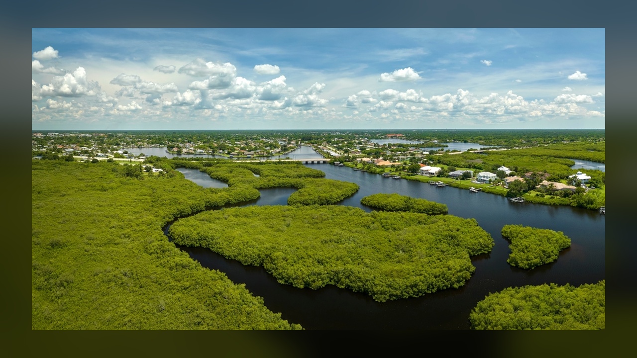 Where alligators and crocodiles actually coexist and it’s a short drive ...