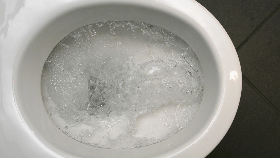 Ice cube toilet cleaning hack gains traction despite expert doubts