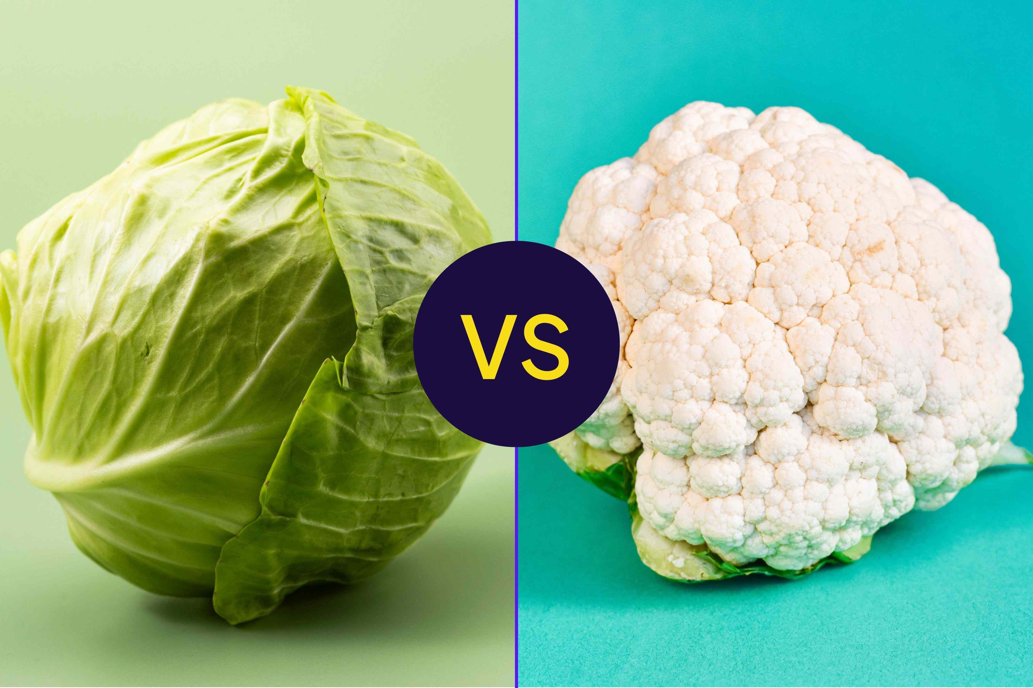 Cabbage vs. cauliflower: Which is better for heart health and digestion?