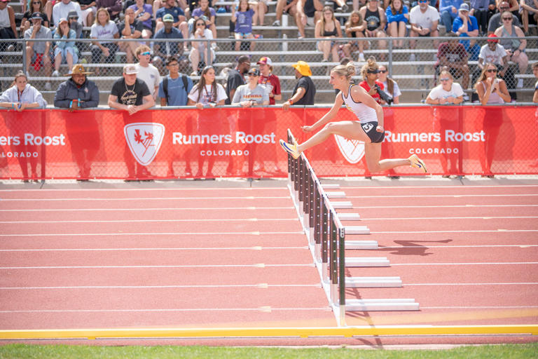 All-state honors for lacrosse, girls golf, track and field announced