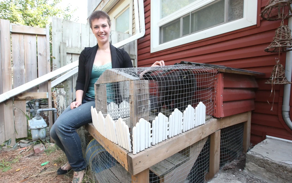 Give your cat the purrfect outdoor haven