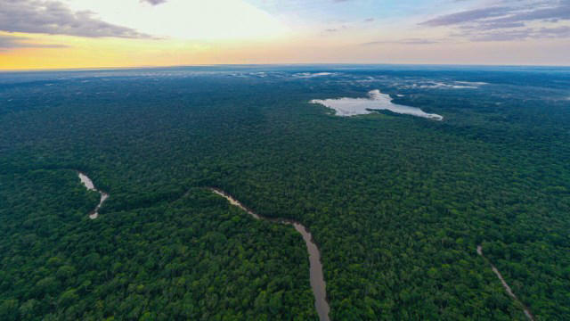 Brazil's Amazon sees 8-year deforestation low as scientists warn fires ...
