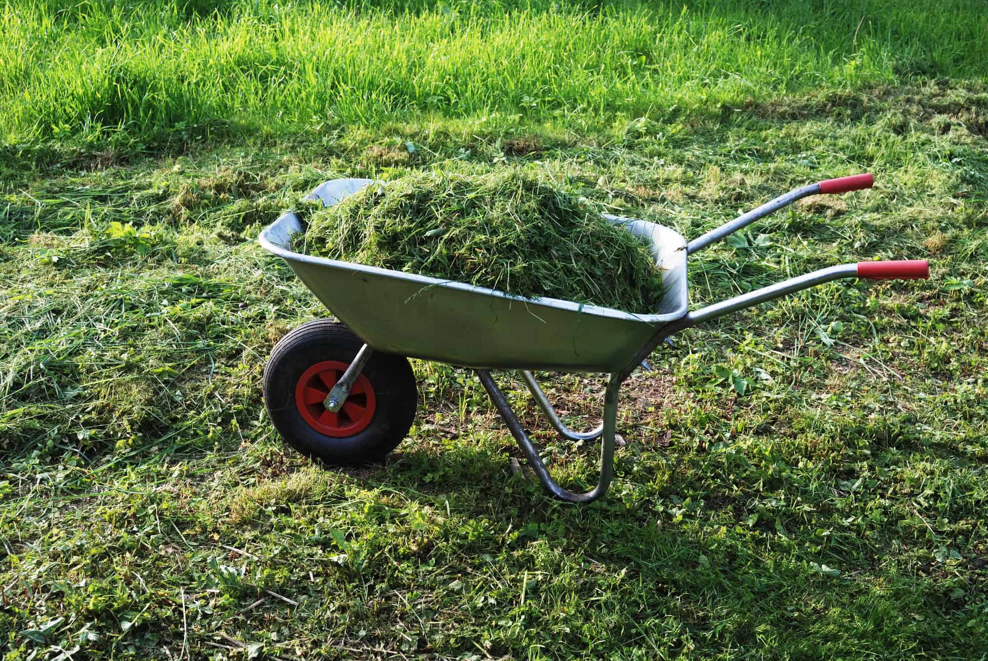 Why mulching your grass clippings could save hours every summer